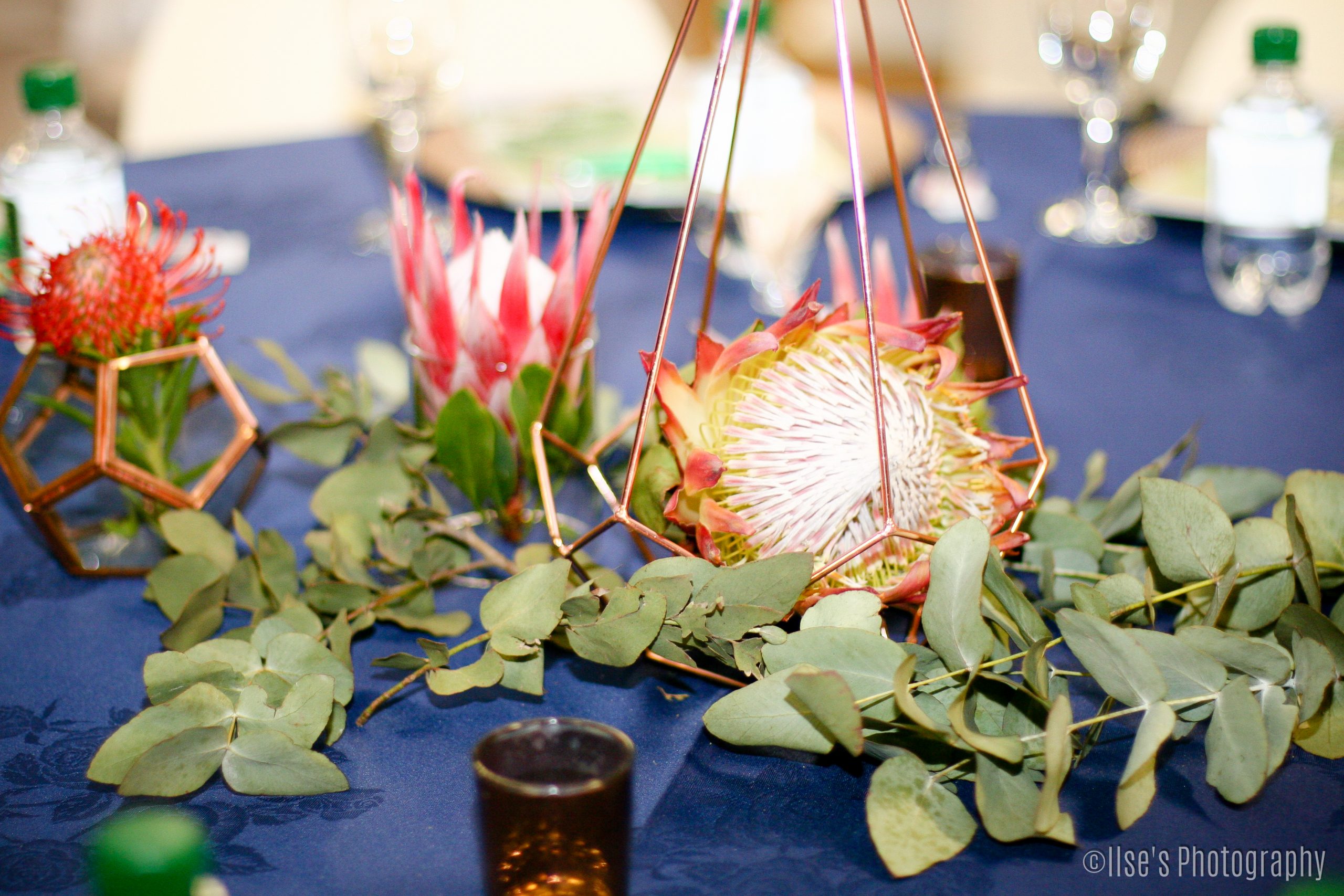 Media – 2019 | Silostrat