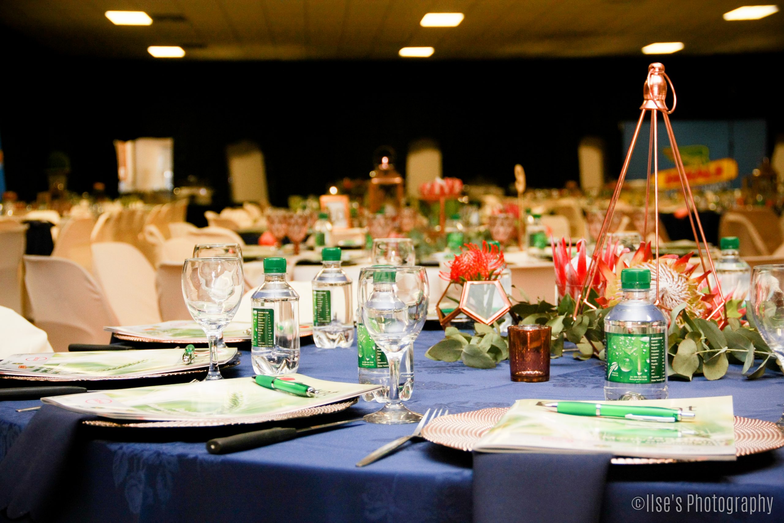 Media – 2019 | Silostrat