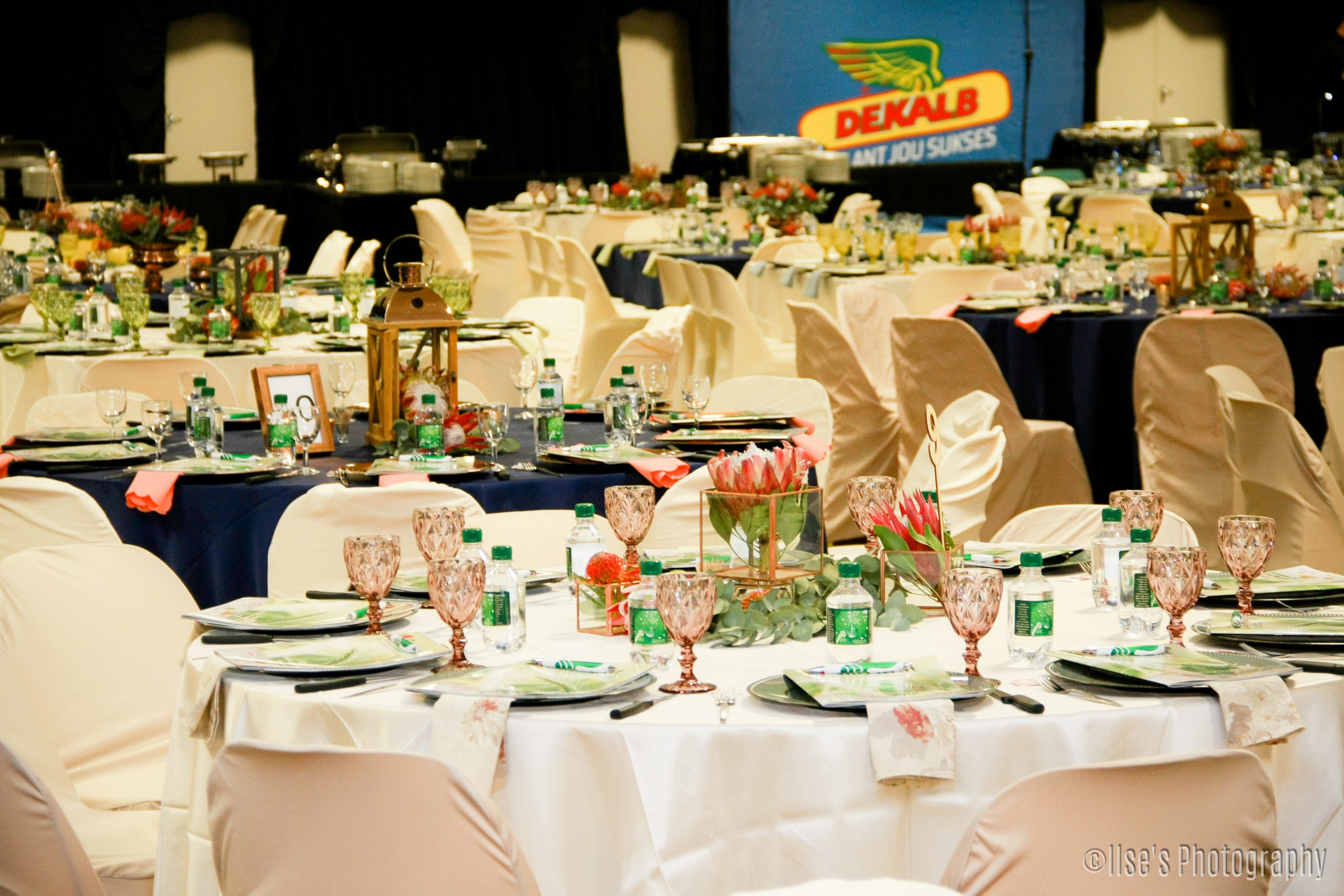 Media – 2019 | Silostrat